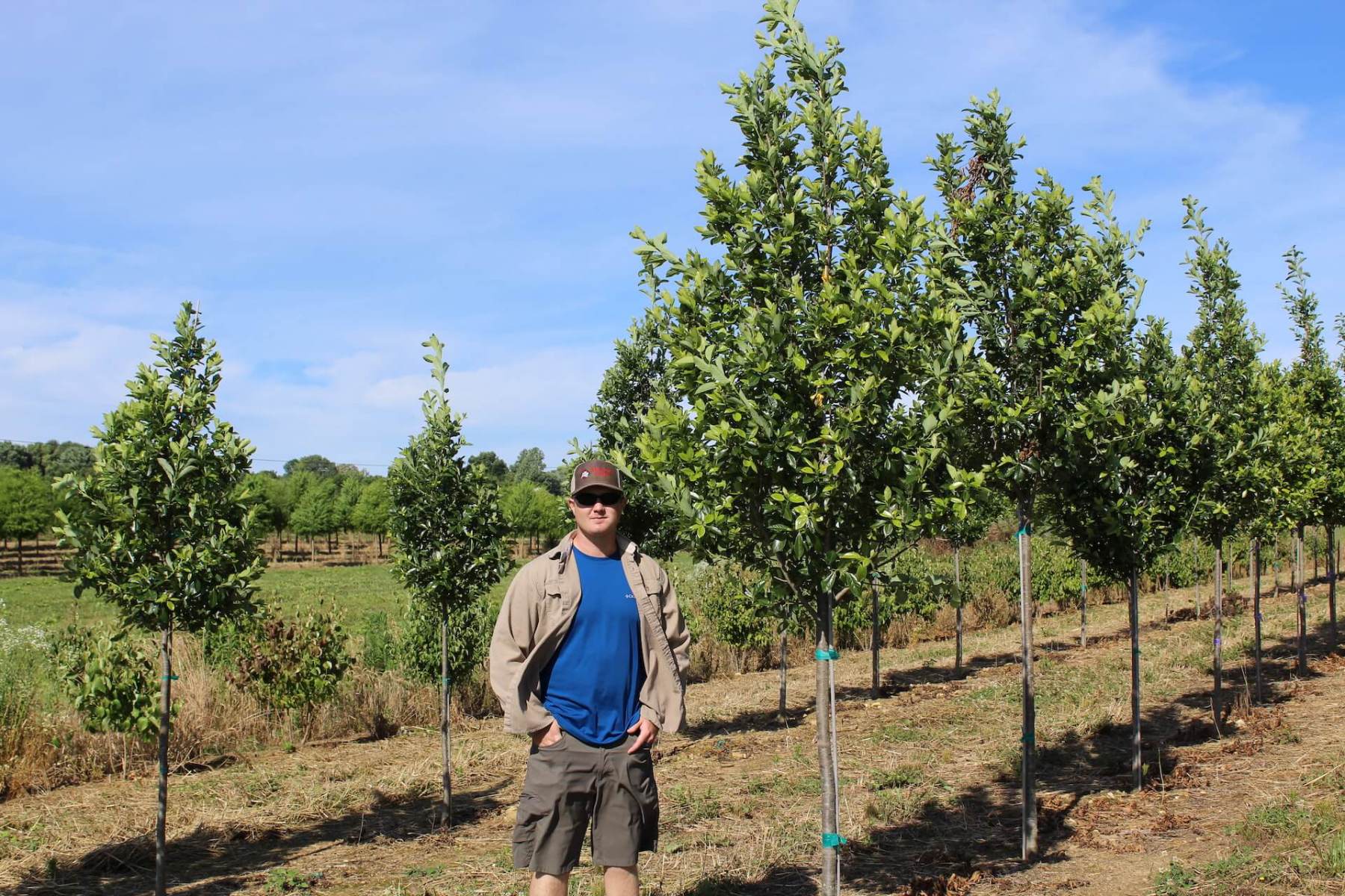 Gallery | Faron Green Nursery